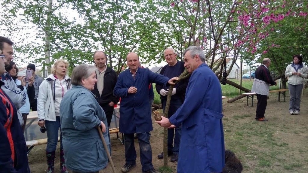 PREDAVANJE O PČELAMA - Nestanu li pčele, nema ploda, nema hrane, nema ...