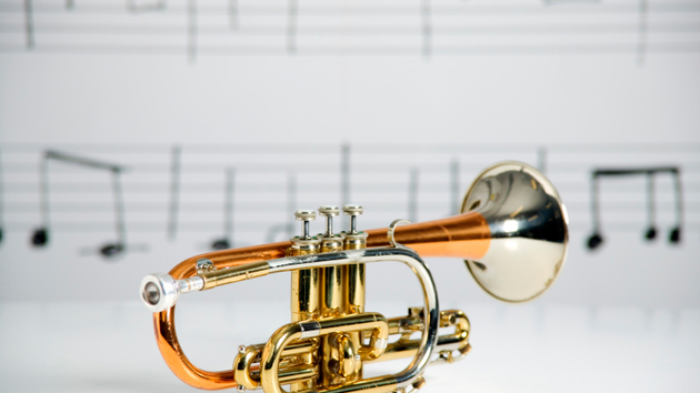 Vrste truba - koje sve vrste truba postoje? - RTL ŽIVOT I STIL