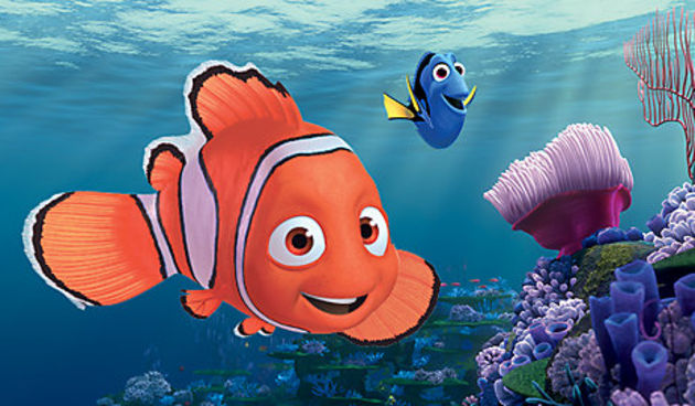 Riba Klaun Poznatija Kao Nemo Rtl Život I Stil