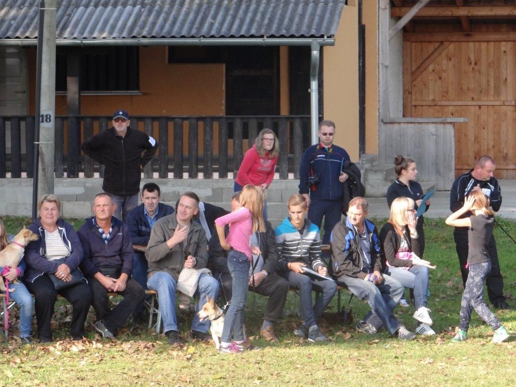FOTO Izložba u Donjoj Dubravi: Lika von Novi Zrin najljepši je pas Međi ...